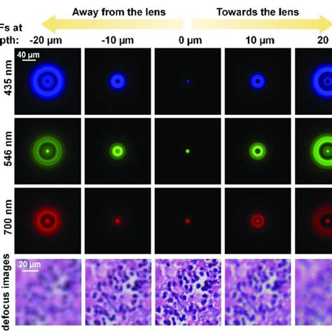 Understand The Single Shot Autofocus A Shows Zemax Simulated Psfs Of
