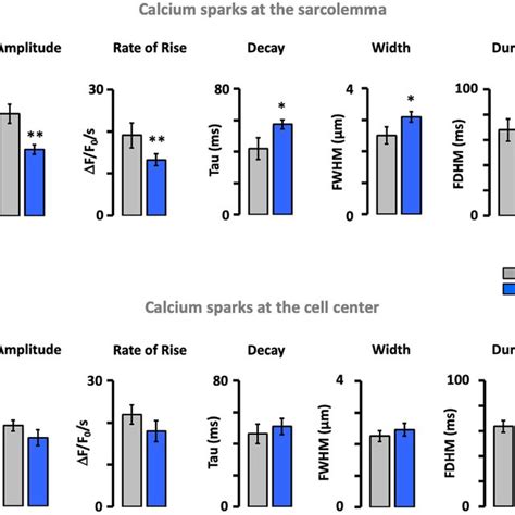 Impact Of Af On Calcium Sparks Near The Sarcolemma And The Cell Center