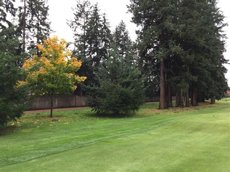 Tacomaturf Tree Management Plan 2017
