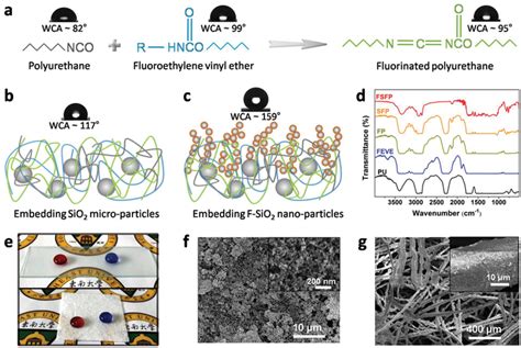 Schematic Illustration Of The Process Strategy For The Robust Download Scientific Diagram