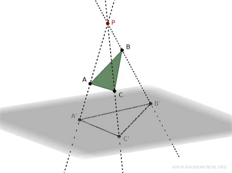 Projective Transformations Andrea Minini