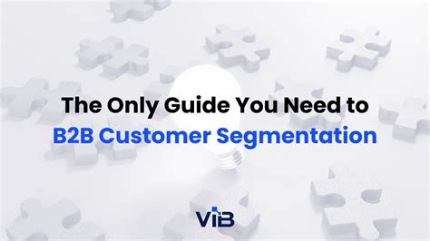 The Only Guide You Need To B2b Customer Segmentation Vib