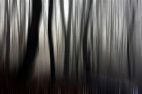 Premium Photo Abstract Motion Blur Of Trees In A Forest