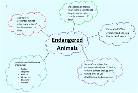 Mind Map Dani Rafferty