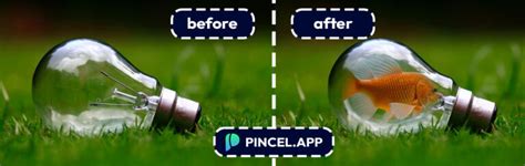 Add Or Replace Objects On Photo Using Ai