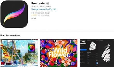 Procreate Vs Sketchbook Which Is Better