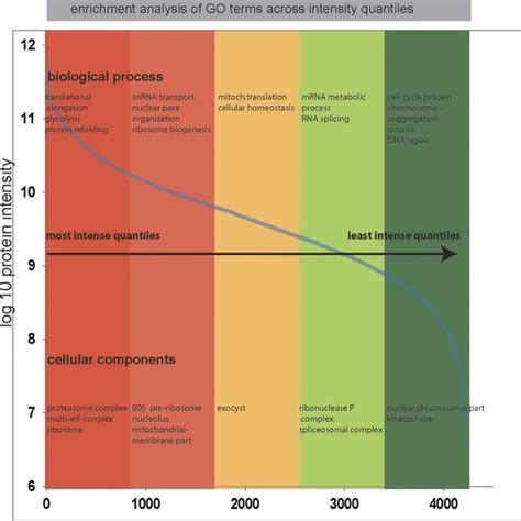 Dynamic Range Of The Identified Proteome Expression Levels Of