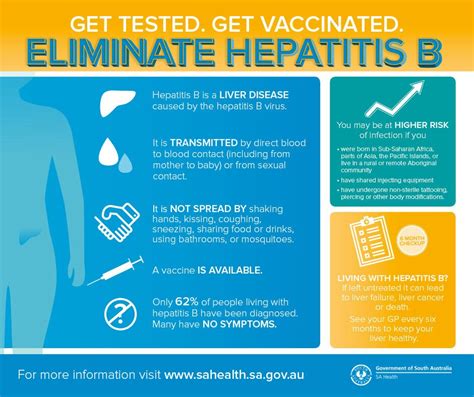 Hepatitis B Including Symptoms Treatment And Prevention Sa Health