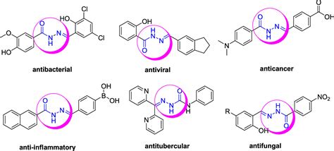 Novel N Acyl Hydrazone Compounds As Promising Anticancer Agents