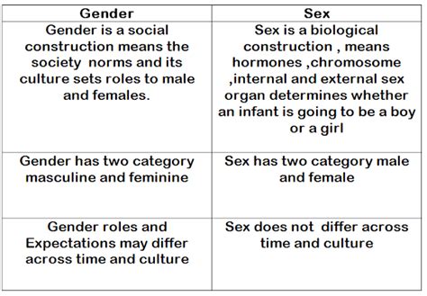 DIGITALFILE Short Notes On Gender And Gender Bias