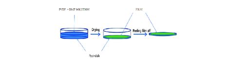 Schematic Diagram Of Synthesis Process Download Scientific Diagram