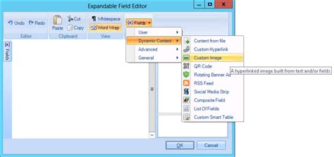 Exclaimer Signature Manager Outlook Edition Conditional Field Example 2