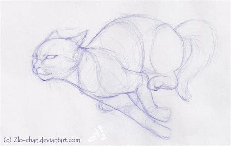 How To Draw A Cat Running Step By Step
