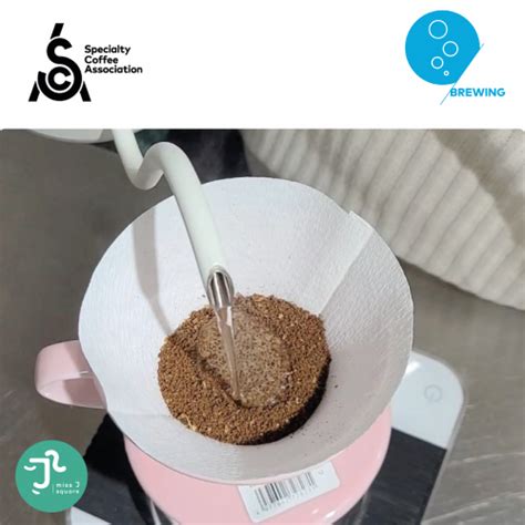 Sca Brewing Foundation Sca 精品咖啡協會沖煮初級課程
