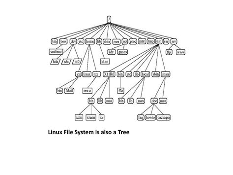 applications of data structures pptx