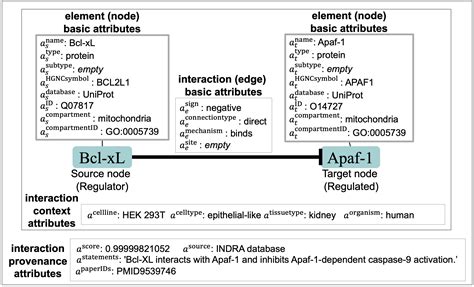 Interaction Lists — Biorecipe 2024 Documentation