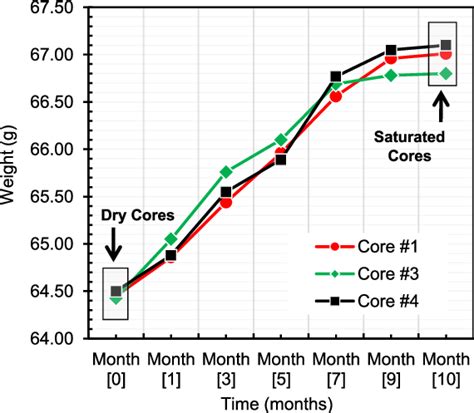 Core Saturation Examples During A 10 Month Period Download