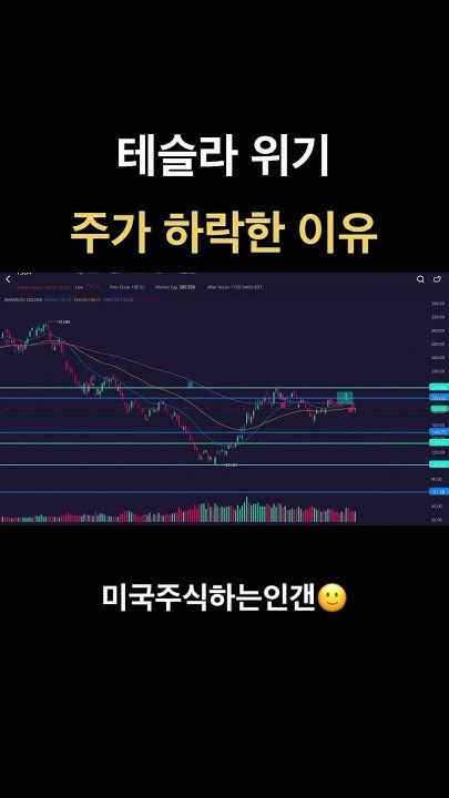 테슬라 위기 주가 하락하는 이유 Youtube