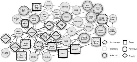 Different Life Science Datasets Talks About Same Concepts Download Scientific Diagram