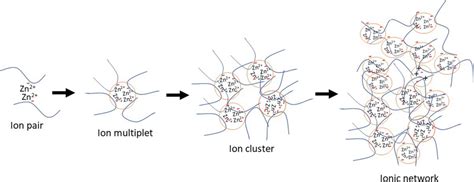 Schematic Illustrations Of Formation Final Of Ionic Network From