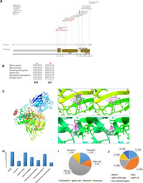 A A Report On The Distribution Of Usp7 Gene Variants And Protein