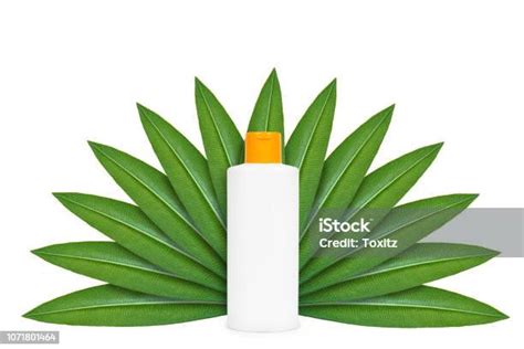 녹색 잎의 배경에 샴푸로 병 백색에 절연 되어 있습니다 자연적인 근원의 개념 개성 개념에 대한 스톡 사진 및 기타 이미지 개성 개념 공란 깨끗한 Istock