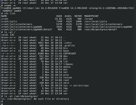Solved Freebsd 14 2 Jail Cannot Access Mount Point The Freebsd Forums