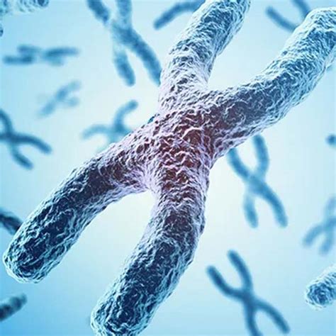 Extended First Trimester Screening Efts For Detecting Aneuploidy And Predicting Preeclampsia