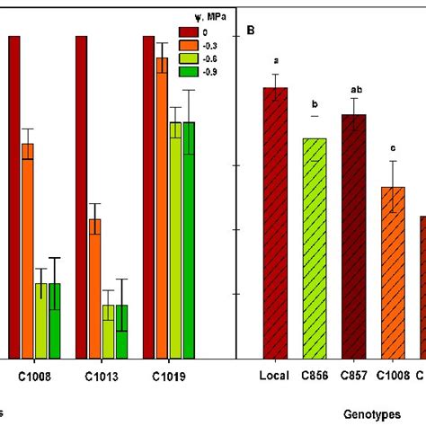 Final Germination Percentage Fgp In Six Genotypes Of Castor At Download Scientific Diagram