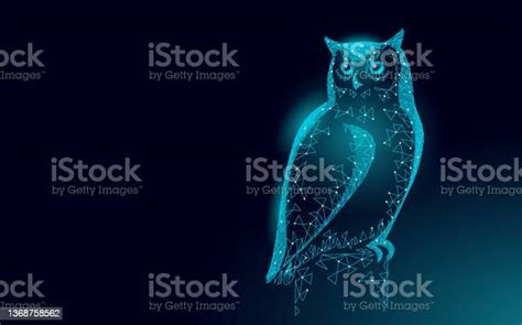 현명한 교육의 올빼미 조류 기호 E러닝 거리 개념 대학원 인증서 프로그램 개념 낮은 폴리 3d 인터넷 교육 과정 벡터