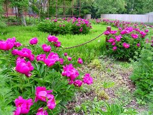 Spring Newsletter Ideas To Brighten Up Your Neighborhood Messaging