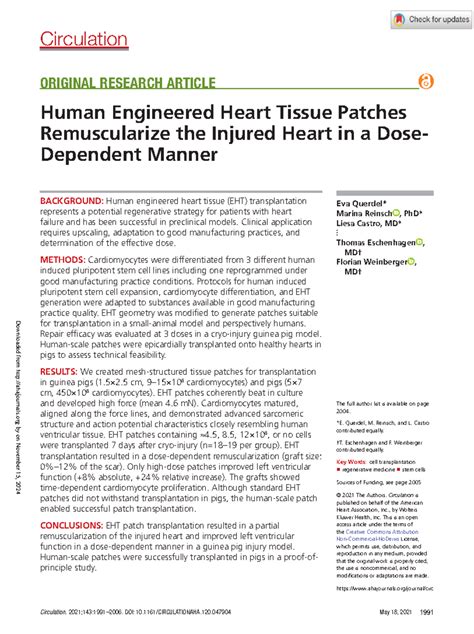 Human Engineered Heart Tissue Patches Querdel 2021 Circulation 2021