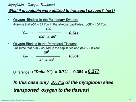 Ppt Oxygen Transport Proteins Myoglobin And Hemoglobin Powerpoint