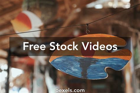 Hanging Fish Videos Download The Best Free 4k Stock Video Footage
