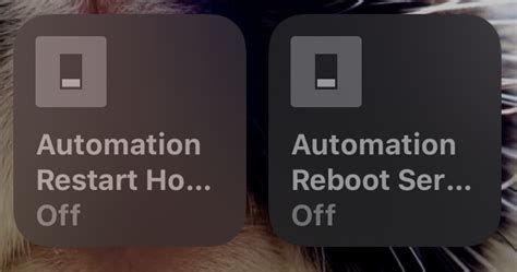 My Newest Function Switches To Reboot Homebridge And Reboot My Mac Mini R Homebridge