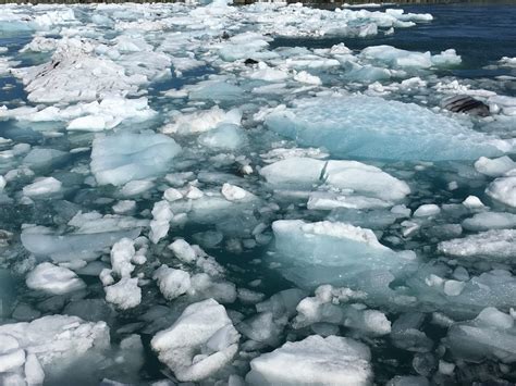 Impacto De La Situación Climática En Los Sistemas De Refrigeración