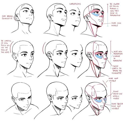 Pin By Leslie On Sbarns Face Drawing Reference Drawing Reference Drawing Tutorial Face