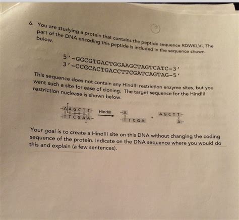 Solved You Are Studying A Protein That Contains The Peptide Chegg