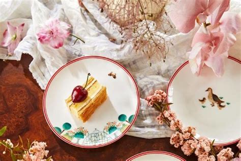 Gui Yalei Mothers Day Flower Arrangement Blockbuster Fauvism Chiba Rose Tom News Archyde