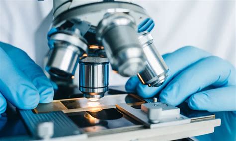 Differential Diagnosis Hypercalcemia Clinicians Brief