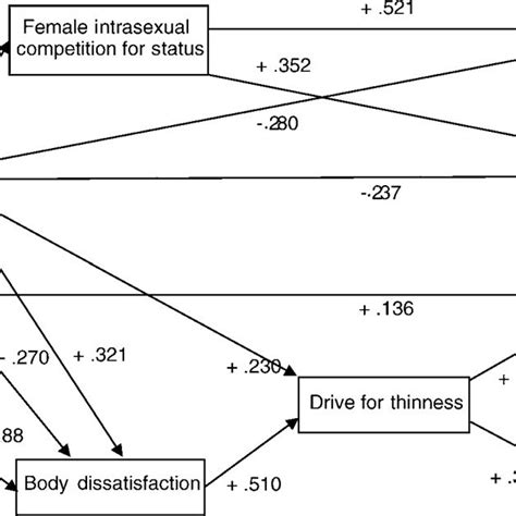 Structural Equation Model For The Relations Between Intrasexual Download Scientific Diagram
