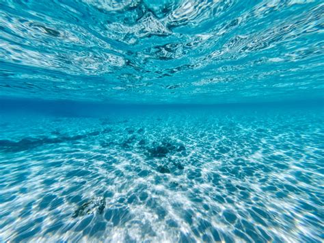 Marine Biomes