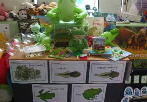 Primary Resources Ks2 Ks1 Early Years Eyfs Ks3 Ks4 Twinkl