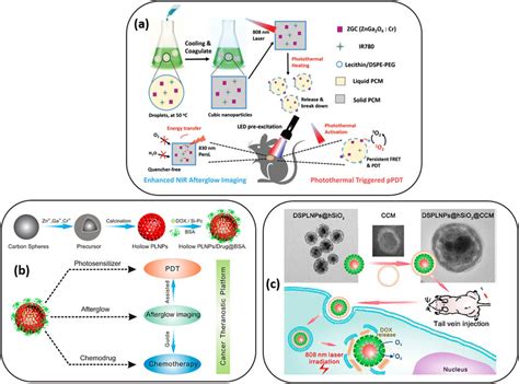 Examples Of Multi Modal Realizations Where Perl Mediated Pdt Is Coupled Download Scientific