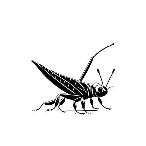 Premium Vector Grasshopper Icon Hand Draw Black Colour Flying Animals