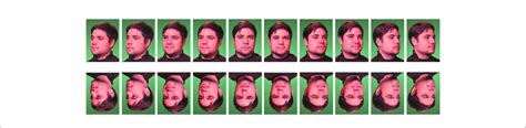 Stimulus Examples Of One Male Identity The Images Show The 20