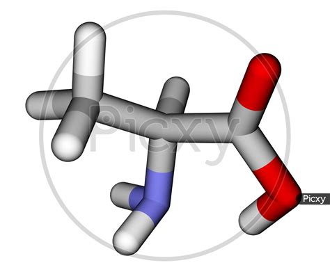 Amino Acid 3d Molecule