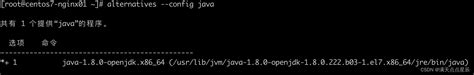 如何用alternatives命令进行java版本的转换alternatives Config Java Csdn博客