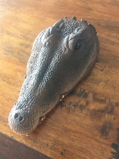 Crocodile Solar Pool Sensor Using Arduino Tech Projects