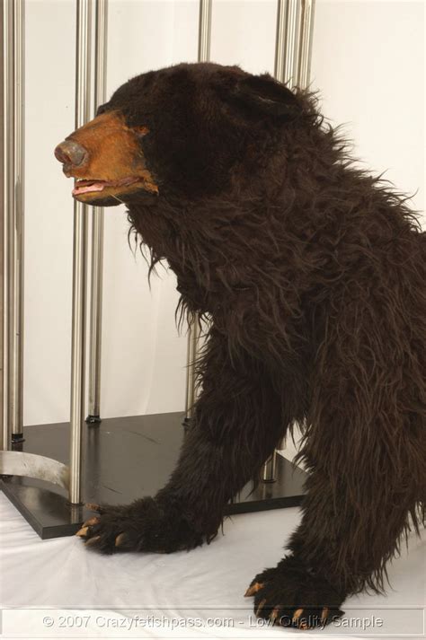 Sexy Bear Redbust